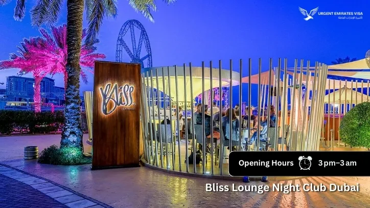 Dubai Nightlife :Top 15 Hottest Night Clubs in Dubai 2024-25