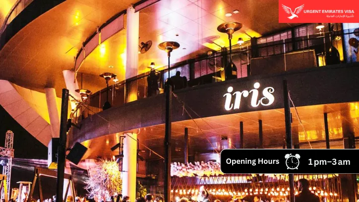 Dubai Nightlife :Top 15 Hottest Night Clubs in Dubai 2024-25